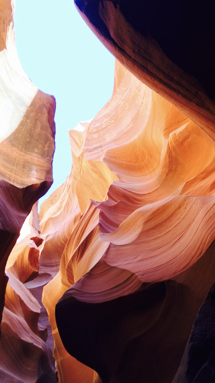 AFA Community : Court Booking